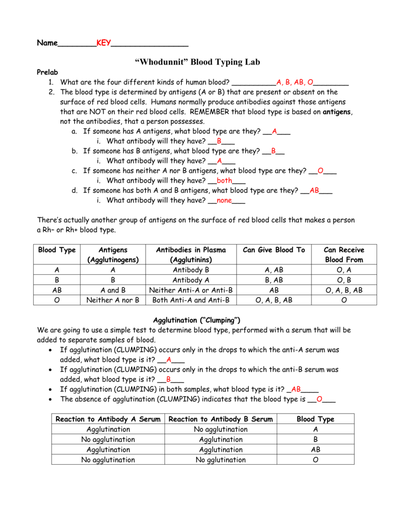 Whodunnit Blood Typing Lab Db excel