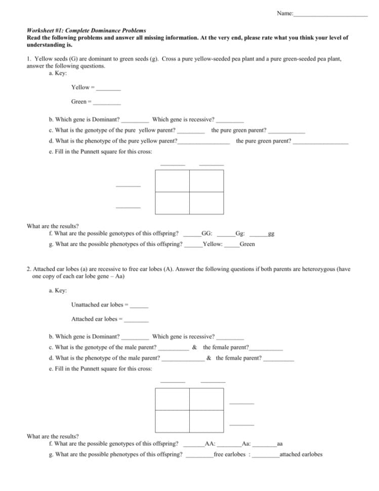Worksheet 1 Complete Dominance Problems — db-excel.com