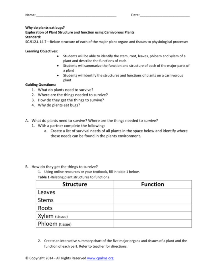 Plant Structure And Function Worksheet — db-excel.com