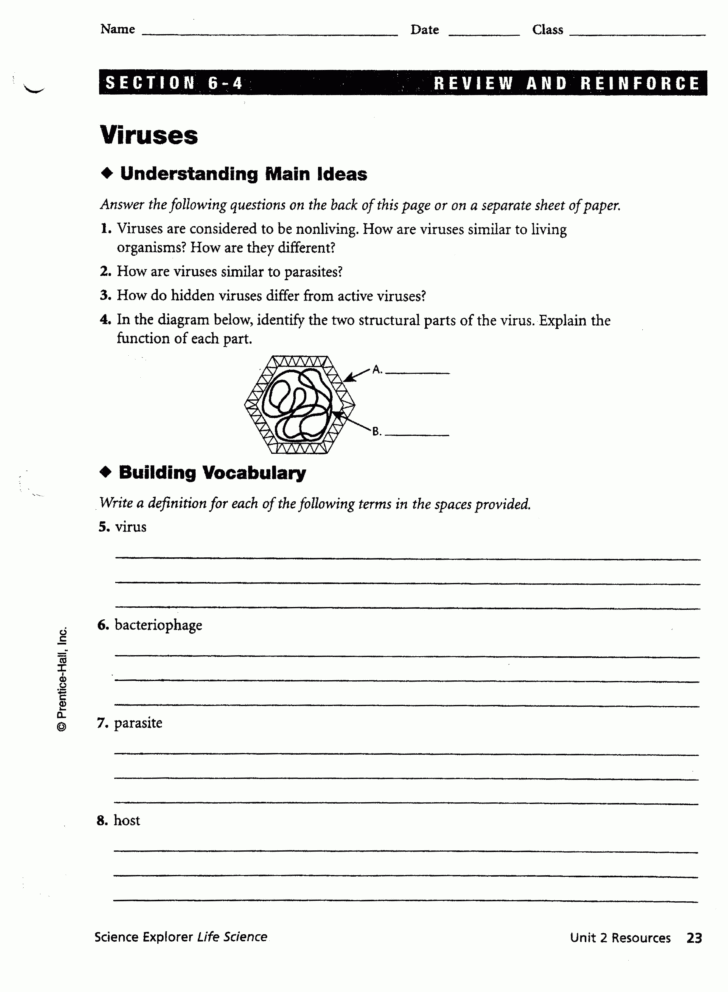 Worksheet Bacteria Worksheet Bacterial Cell Worksheet Pdf — db-excel.com