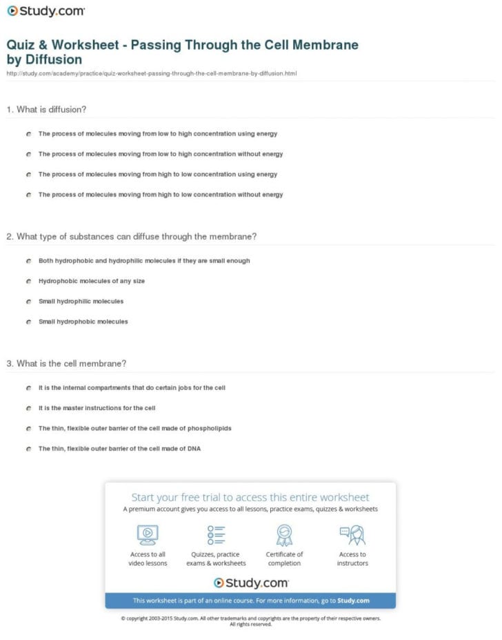 Worksheet Cell Worksheets The Structure Plasma Membrane — db-excel.com