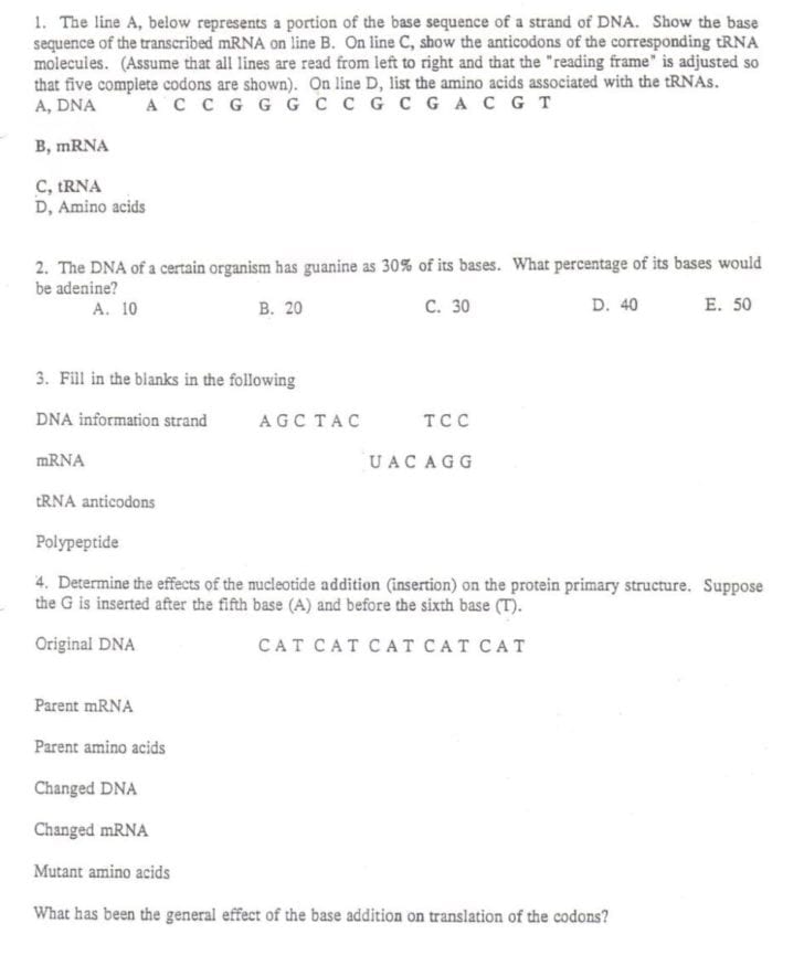 Worksheet Gene Mutations Worksheet Mutations And Genetic — db-excel.com