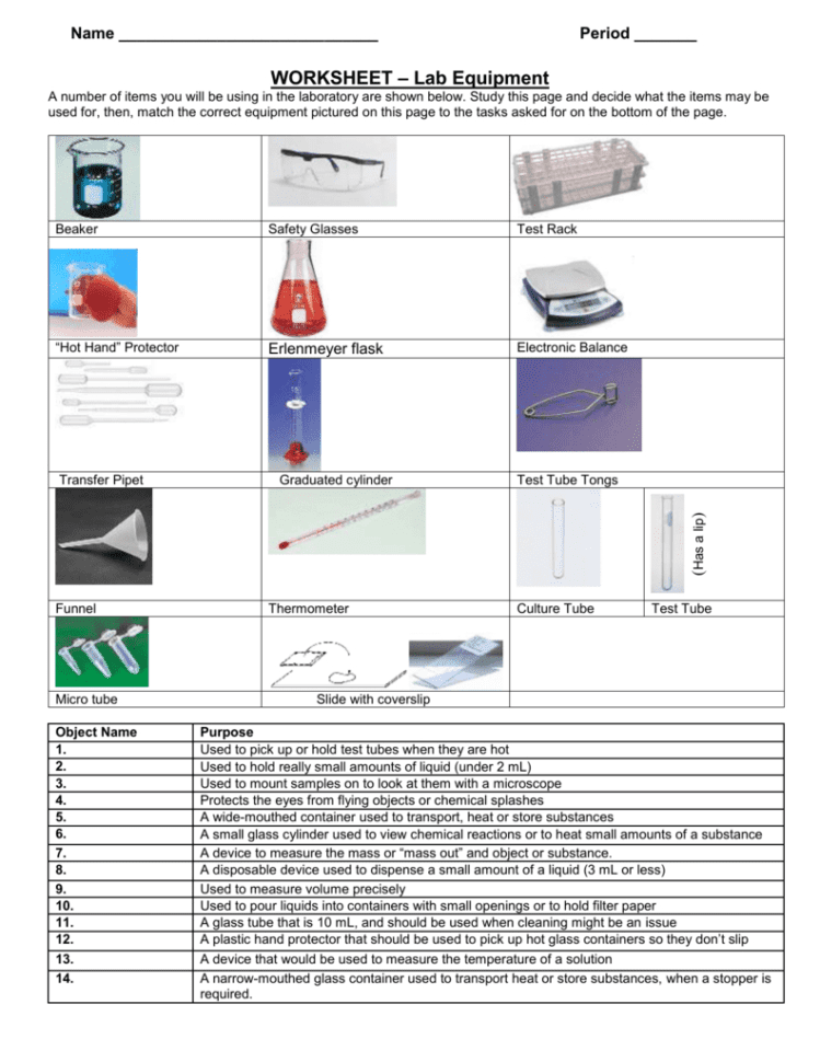 Middle School Lab Equipment Worksheet — db-excel.com