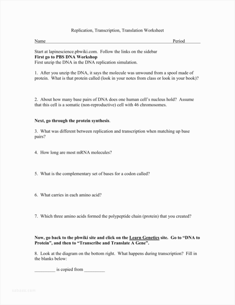 Transcription And Translation Practice Worksheet Answer Key — db-excel.com